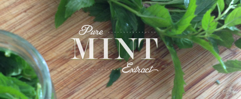 Pure Mint Extract | The Crunchy Urbanite